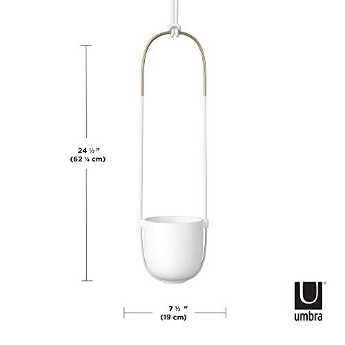 Umbra Bolo Hanging Planter