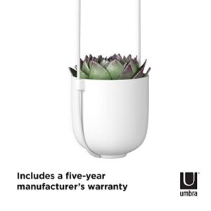 Umbra Bolo Hanging Planter