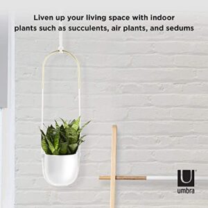 Umbra Bolo Hanging Planter