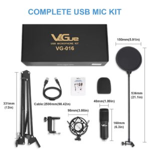 VeGue USB Microphone Kit, 192kHz/24Bit Streaming Podcast PC Condenser Computer Mic Set for Gaming, YouTube Video, Recording Music, Voice Over, Studio Mic with Adjustable Arm Stand (VG-016)