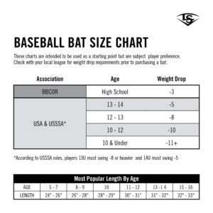 Louisville Slugger unisex-adult 2020 Omaha (-10) 2 5/8" USA Baseball Bat, 28"/18 oz, Silver