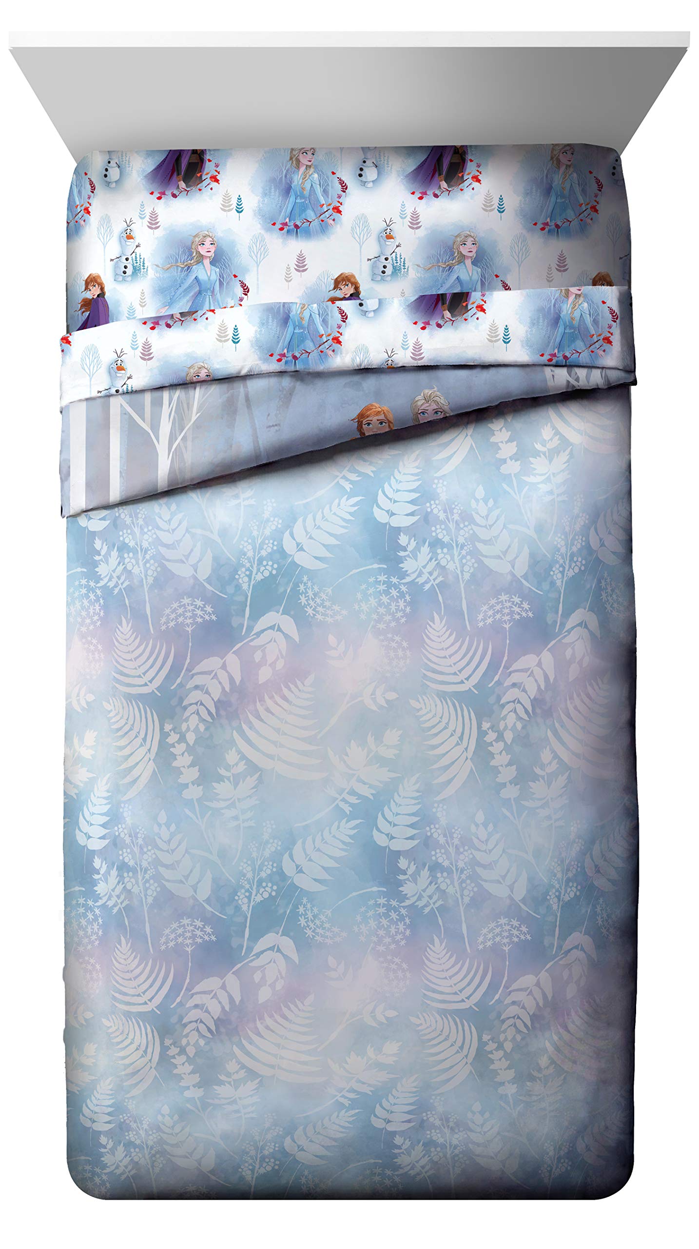 Jay Franco Frozen 2 Forest Spirit Bed Set, Twin