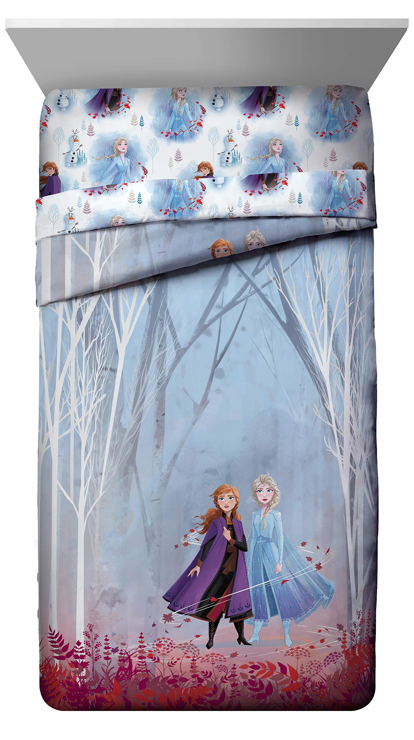 Jay Franco Frozen 2 Forest Spirit Bed Set, Twin