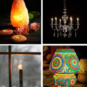 Mandala Crafts Pack of 12 E12 25W Flame Tip Candelabra Light Bulbs for Appliance Chandelier Light Bulb