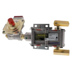 ERP DG94-00449A Valve & Regulator Assembly