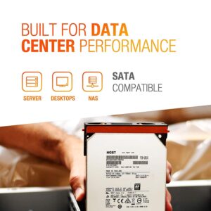 HGST HUH728080AL4200 3.5" 8TB SAS 12Gb/s 7.2K RPM 128M 0F23651 4Kn ISE Enterprise Hard Drive (Renewed)