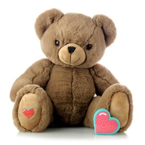 my baby's heartbeat bear recordable stuffed animals 20 sec heart voice recorder for ultrasounds and sweet messages playback, perfect gender reveal for moms to be, cocoa bear