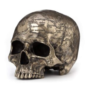 veronese design 5 3/8 inch craniumography old treasure map skull sculpture cold cast resin bronze finish statue