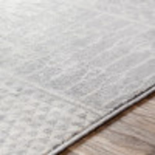 Livabliss Hana Modern Moroccan Area Rug,2' x 3',Medium Grey