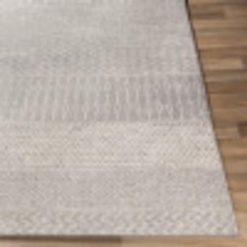 Livabliss Hana Modern Moroccan Area Rug,2' x 3',Medium Grey