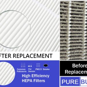 PUREBURG FP-A80UW Replacement True HEPA Filter Compatible with Sharp FZ-A80HFU Fits Sharp FP-A80UW FPA80UW PLASMACLUSTER Air Purifier,H13 Air Clean Dust,1-Pack