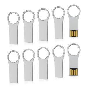 raoyi 10 pack 2gb metal key shape usb flash drive, usb 2.0 memory stick thumb drives jump drive-silver