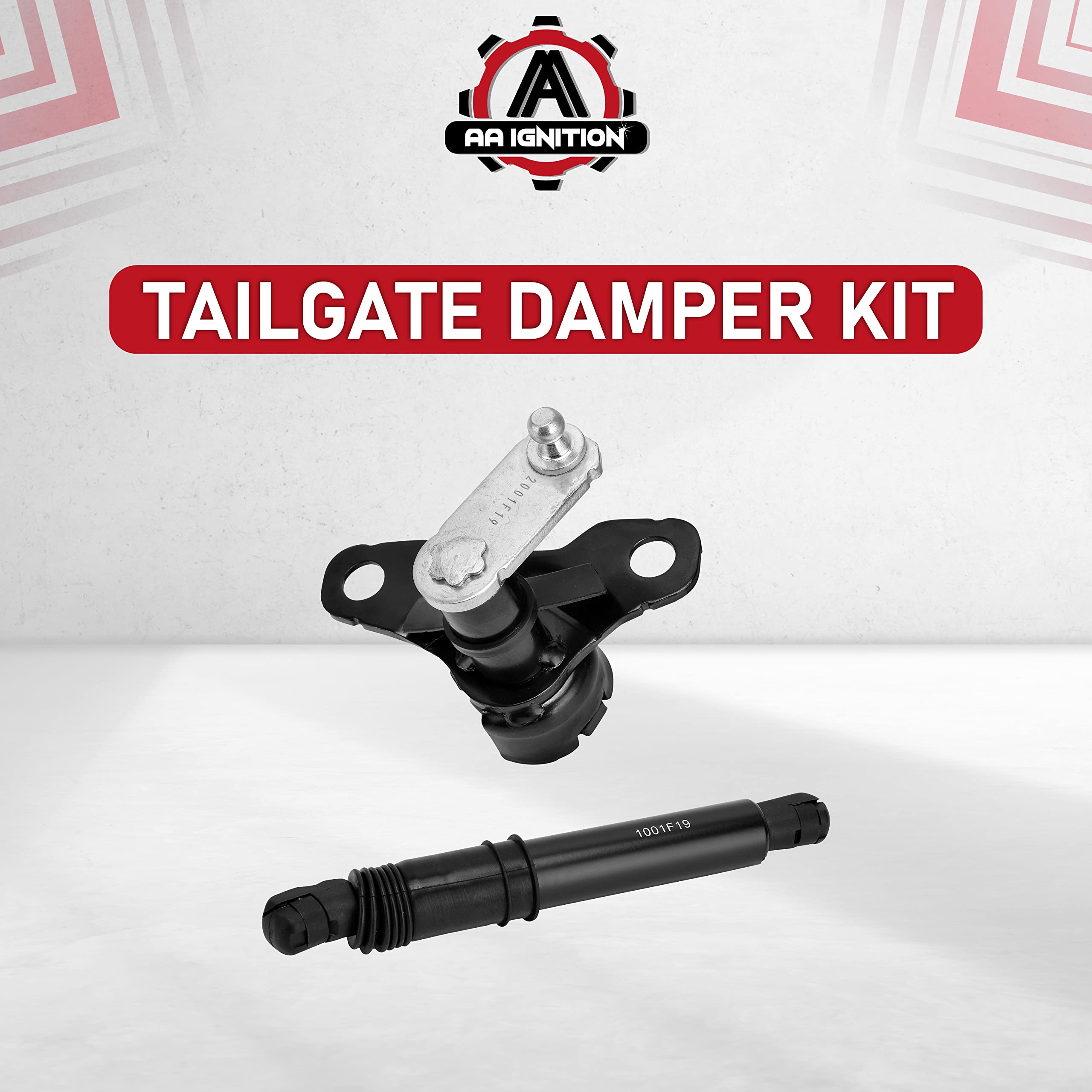 Tailgate Damper Kit - Compatible with Ford F-150 2015, 2016, 2017, 2018, 2019, F-150 Raptor 2017-2019 - Replaces FL3Z-99406A10-A, FL3Z99406A10A - Tail gate Assist Shock Strut - Lift Support Kit