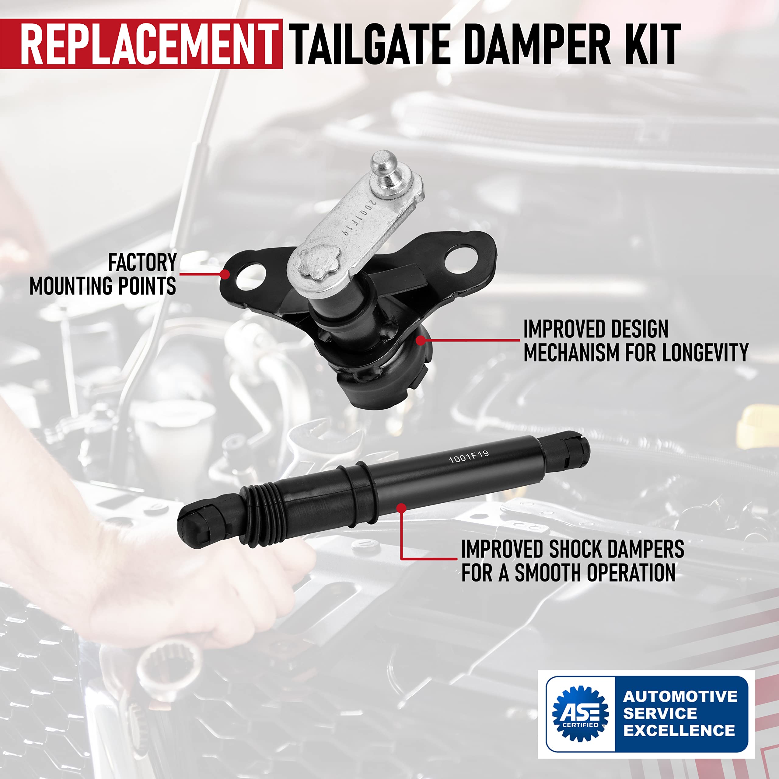 Tailgate Damper Kit - Compatible with Ford F-150 2015, 2016, 2017, 2018, 2019, F-150 Raptor 2017-2019 - Replaces FL3Z-99406A10-A, FL3Z99406A10A - Tail gate Assist Shock Strut - Lift Support Kit