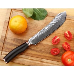 YOUSUNLONG Breaking Knife Bull Nose Butcher Knife 8" Japanese 67 Layers Hammered Damascus Steel with Natural Leadwood Handle