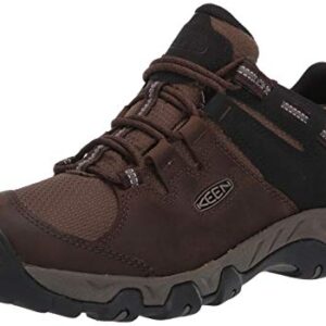 KEEN Men's Steens WP Hiking Shoe, Brown, 9.5