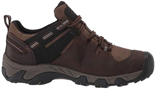 KEEN Men's Steens WP Hiking Shoe, Brown, 9.5