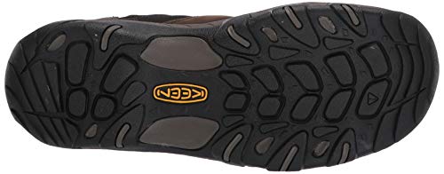 KEEN Men's Steens WP Hiking Shoe, Brown, 9.5