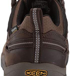 KEEN Men's Steens WP Hiking Shoe, Brown, 9.5