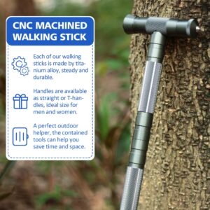 aiGear Premium Walking Hiking Stick CNC Machined Outdoor Trekking Poles Color Gray(PPWS002)