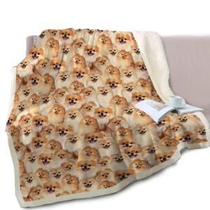 BlessLiving Pomeranian Throw Blanket Fuzzy Dogs Blanket for Kids People Cute Puppy Fleece Blanket Reversible Animal Pet Sherpa Couch Throw Pomeranian Gifts for Pomeranian Lovers (50 x 60 Inches)