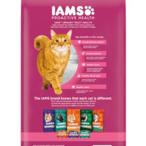 Iams 109105 3.5 lbs Proactive Health Adult Urinary Tract Health Dry Cat Food, Pack of 4 (4 Items)