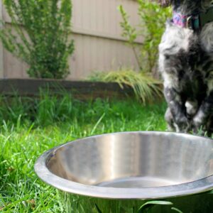 Snow Peak Unisex's Dog Bowl-Stainless Steel, Unset, Medium