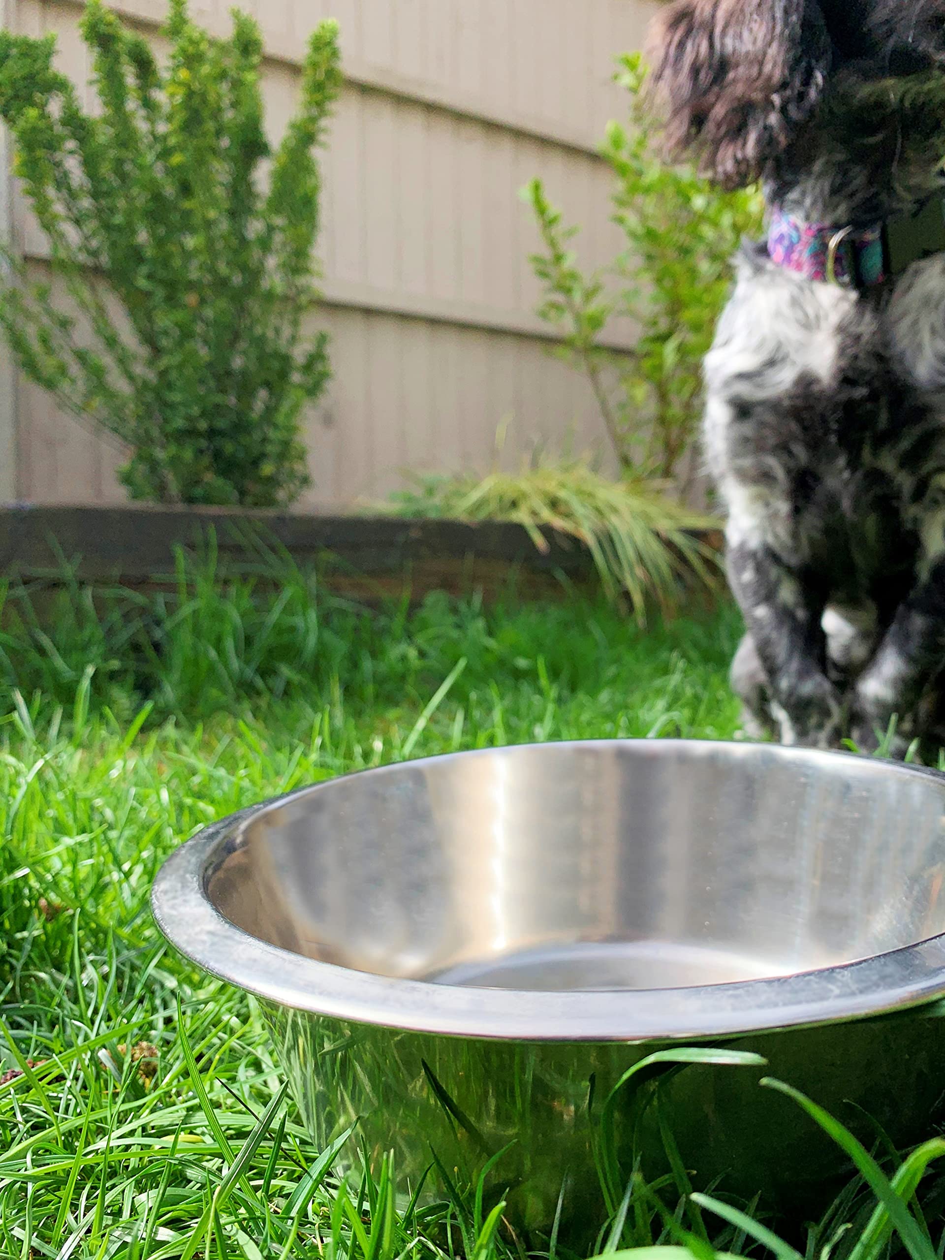 Snow Peak Unisex's Dog Bowl-Stainless Steel, Unset, Medium