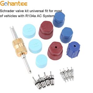 gohantee 17Pcs Air Conditioning Valve Core Kit Schrader Valve Cores Accessories A/C R12 R134a Refrigeration Valve Stem Core Rmover Tool HVAC System Seal Caps Kit