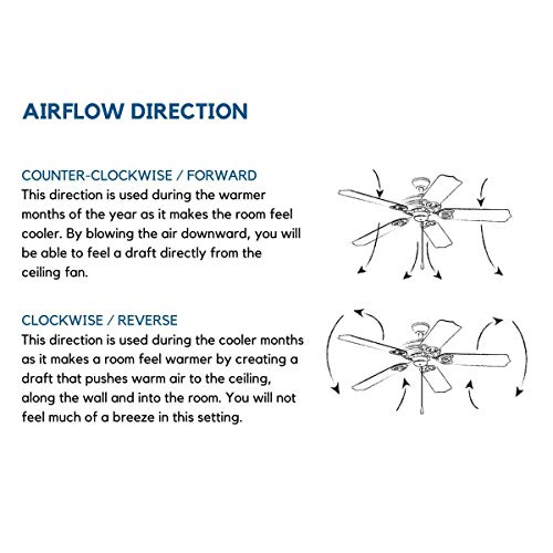 Progress Lighting P250012-141-22 Gulliver Ceiling Fans, 18-1/8" x 23-1/2", Gray