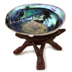 ocean shell studios 5-6 inches premium natural abalone (pāua) shell with wooden stand for smudging, cleansing home, meditation, shell crafts,incense holder, home décor, 100% natural, sustainable.