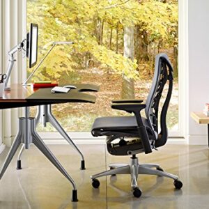 Herman Miller Embody Ergonomic Office Chair | Fully Adjustable Arms and Carpet Casters | Charcoal Rhythm