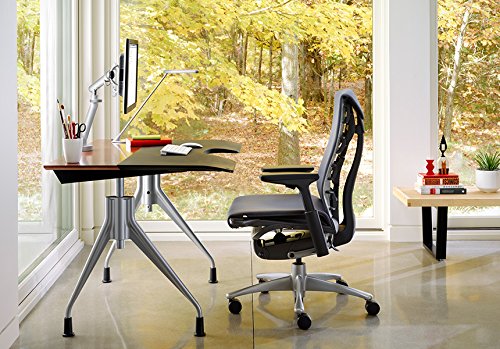 Herman Miller Embody Ergonomic Office Chair | Fully Adjustable Arms and Carpet Casters | Charcoal Rhythm