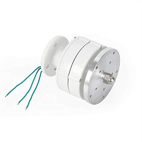 Wind Turbine Generator, 5 Blades Wind Turbine Lanterns Generator Vertical Axis Controller 600W 12 V (white 12v)