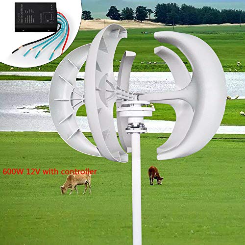 Wind Turbine Generator, 5 Blades Wind Turbine Lanterns Generator Vertical Axis Controller 600W 12 V (white 12v)