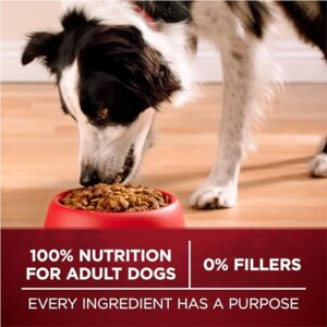 Purina ONE Natural High Protein Dry Dog Food Dry True Instinct with Real Beef and Salmon With Bone Broth and Added Vitamins, Minerals and Nutrients - 27.5 lb. Bag