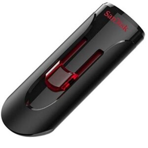 SanDisk 128GB Cruzer Glide 3.0 USB Flash Drive (10 Pack Bundle) Jump Drive Pen Drive Works with Laptop Computers with USB 2.0/3.0 Port (SDCZ600-128G-G35) Plus (5) Everything But Stromboli (TM) Lanyard