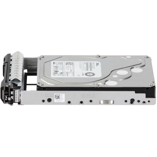 Dell 4TB 7.2K 12Gbps NL SAS 3.5 HDD 512n (1MVTT) (Renewed)