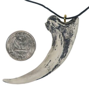 Mid-Land Scientific Deinonychus Dinosaur Claw Pendant Necklace (344-3)