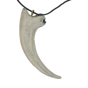 Mid-Land Scientific Deinonychus Dinosaur Claw Pendant Necklace (344-3)