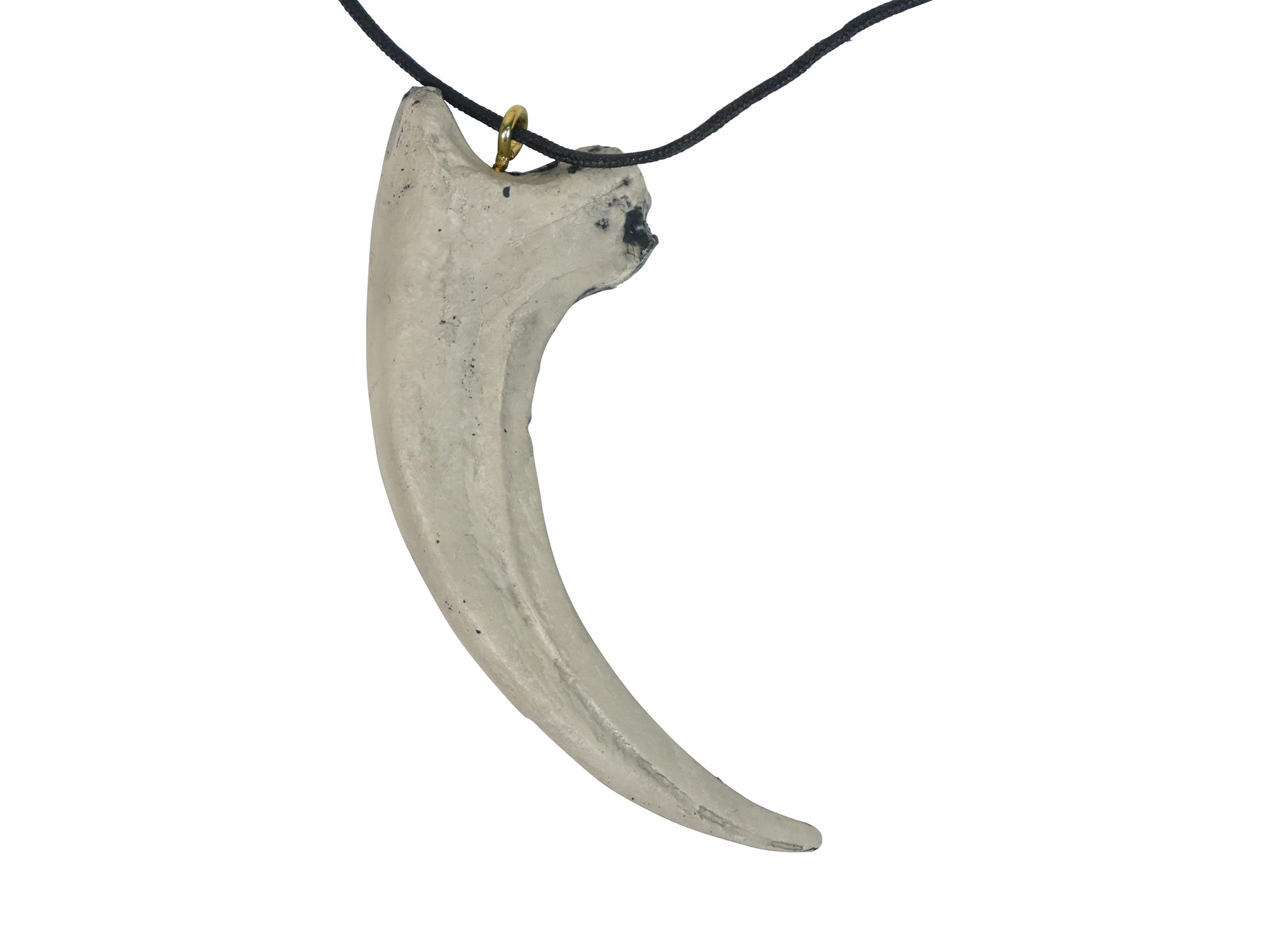 Mid-Land Scientific Deinonychus Dinosaur Claw Pendant Necklace (344-3)