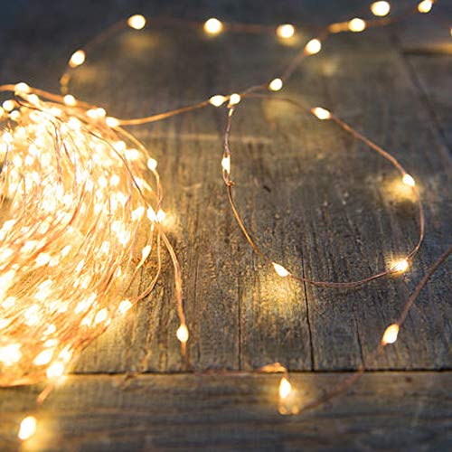 String Lights, PERFECTDAY 200 LED 66 FT Copper Fairy String Lights Warm White Waterproof USB Powered String Light for Indoor Outdoor Party Decoration