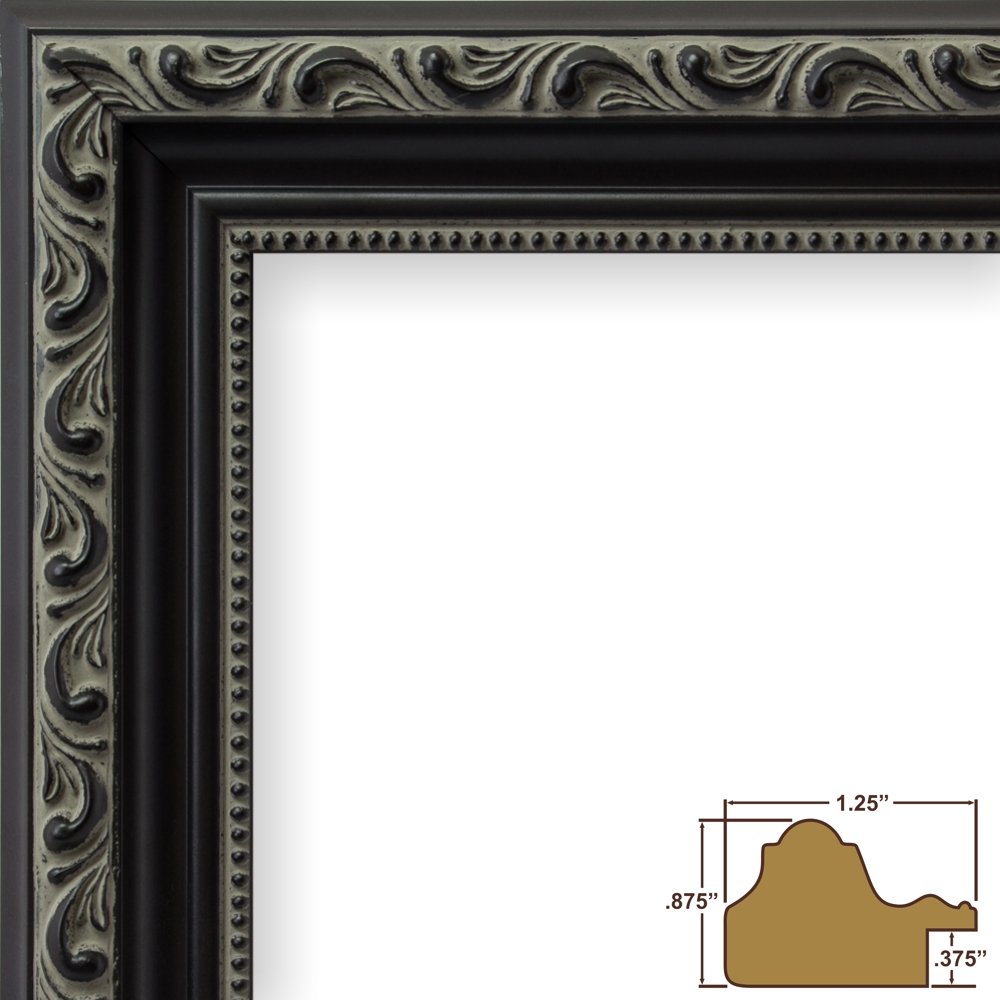 Craig Frames Ancien Ornate, 11 x 14 Inch Antique Black Picture Frame Matted to Display an 8 x 10 Inch Photo