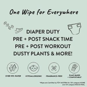 The Honest Company Clean Conscious Unscented Wipes | Over 99% Water, Compostable, Plant-Based, Baby Wipes | Hypoallergenic for Sensitive Skin, EWG Verified | Pattern Play, 576 Count