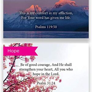 Logos Trading Post Pass Along Scripture Card Variety Pack | All 60 Designs | 1 of each Design | Pack of 60 - Assortment 13