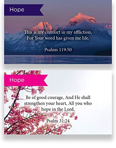 Logos Trading Post Pass Along Scripture Card Variety Pack | All 60 Designs | 1 of each Design | Pack of 60 - Assortment 13