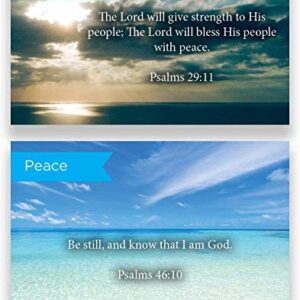 Logos Trading Post Pass Along Scripture Card Variety Pack | All 60 Designs | 1 of each Design | Pack of 60 - Assortment 13