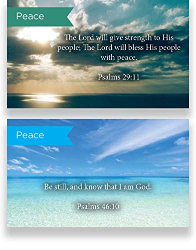 Logos Trading Post Pass Along Scripture Card Variety Pack | All 60 Designs | 1 of each Design | Pack of 60 - Assortment 13