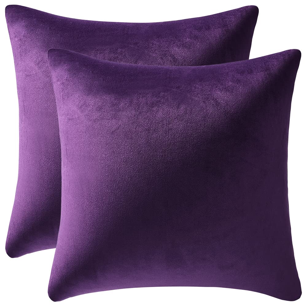 DEZENE 18x18 Throw Pillow Cases Purple: 2 Pack Cozy Soft Velvet Square Decorative Pillow Covers for Farmhouse Home Decor