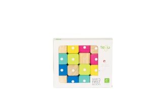 tegu 15 piece magnetic baby’s first building blocks, tints